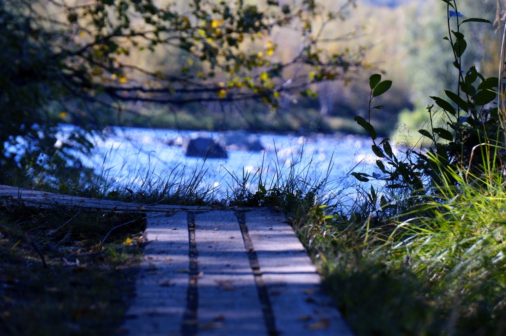 Part 2: Hiking Kungsleden in Autumn – Abisko – Abiskojaure - Aether Ariel